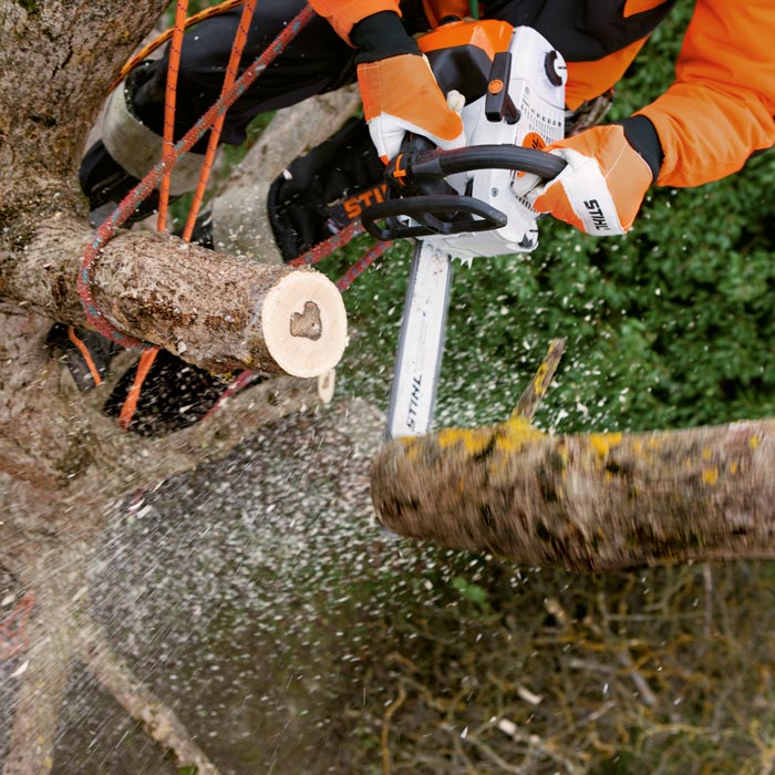 Stihl MS201 TC-M 12" Top Handle Chainsaw