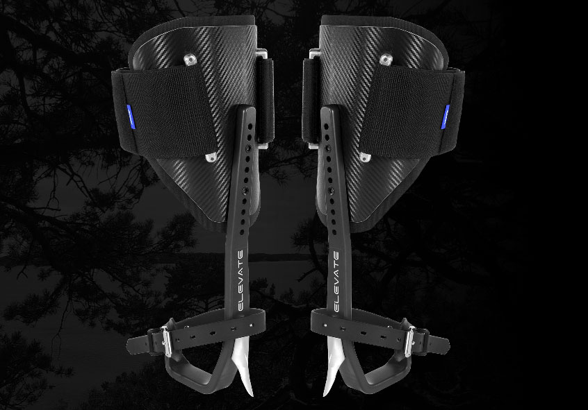 Welcome to ForestAndArb.com!